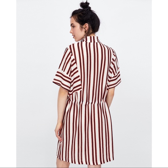 Zara | Dresses | Zara Striped High Neck Zip Short Dress | Poshmark